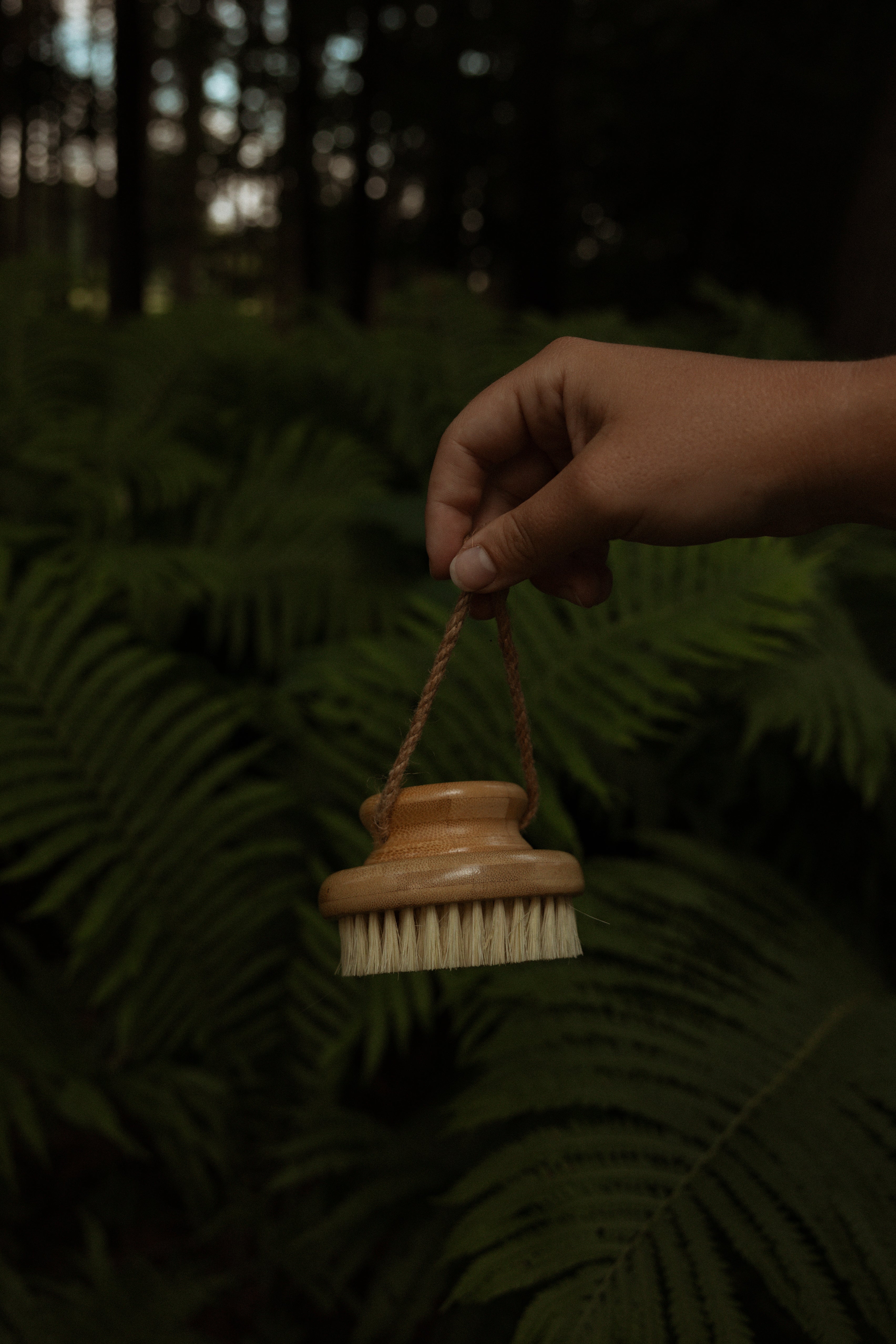 Why We Love Dry Brushing – Tallow Twins