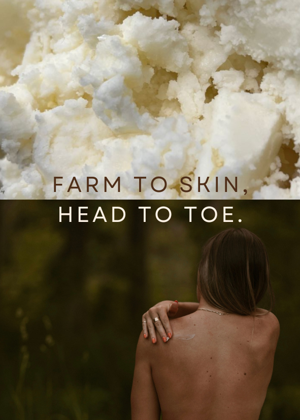 Tallow Skincare: The History - Tallow Twins