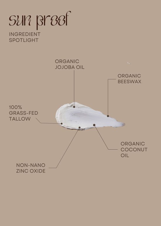 WebsiteInfographics_2100x2940px_21_768x768.png?v=1731012151